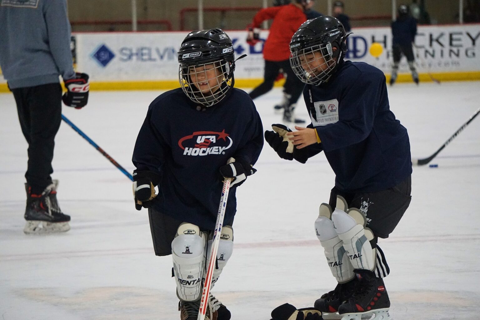 Troy Youth Hockey Association – Home to the Troy Sting